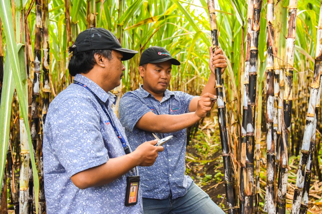 Foto dan Media – PT PG Rajawali I