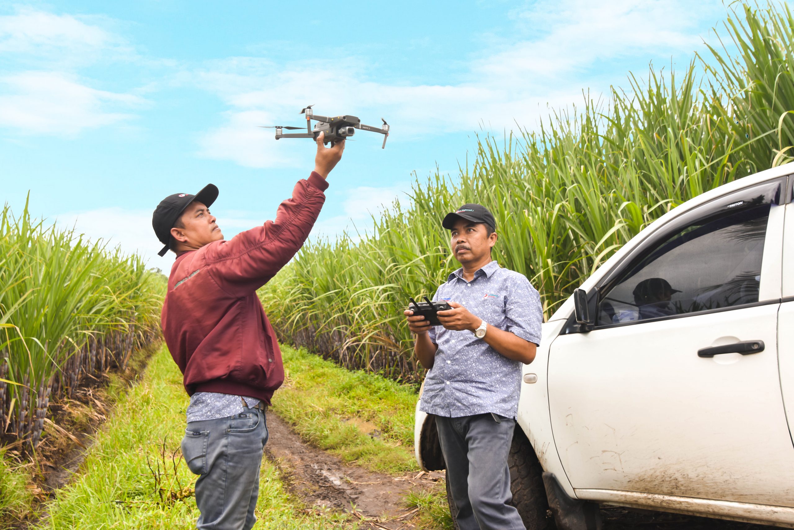 Foto dan Media – PT PG Rajawali I